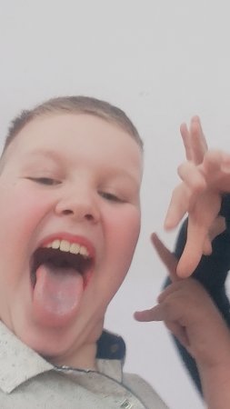 дебилы 🤦