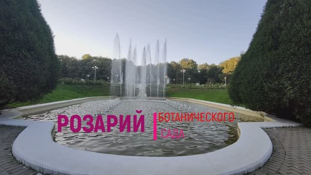 Созерцание Александр Кэтлин (розарий)