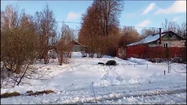 Архив. Выходные с родными. Готовлю ужин. Самое большое дело сделали!