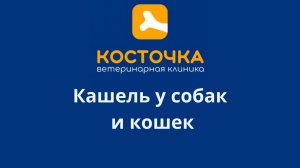 Кашель у собак и кошек