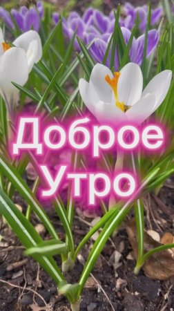 С добрым позитивным утром!