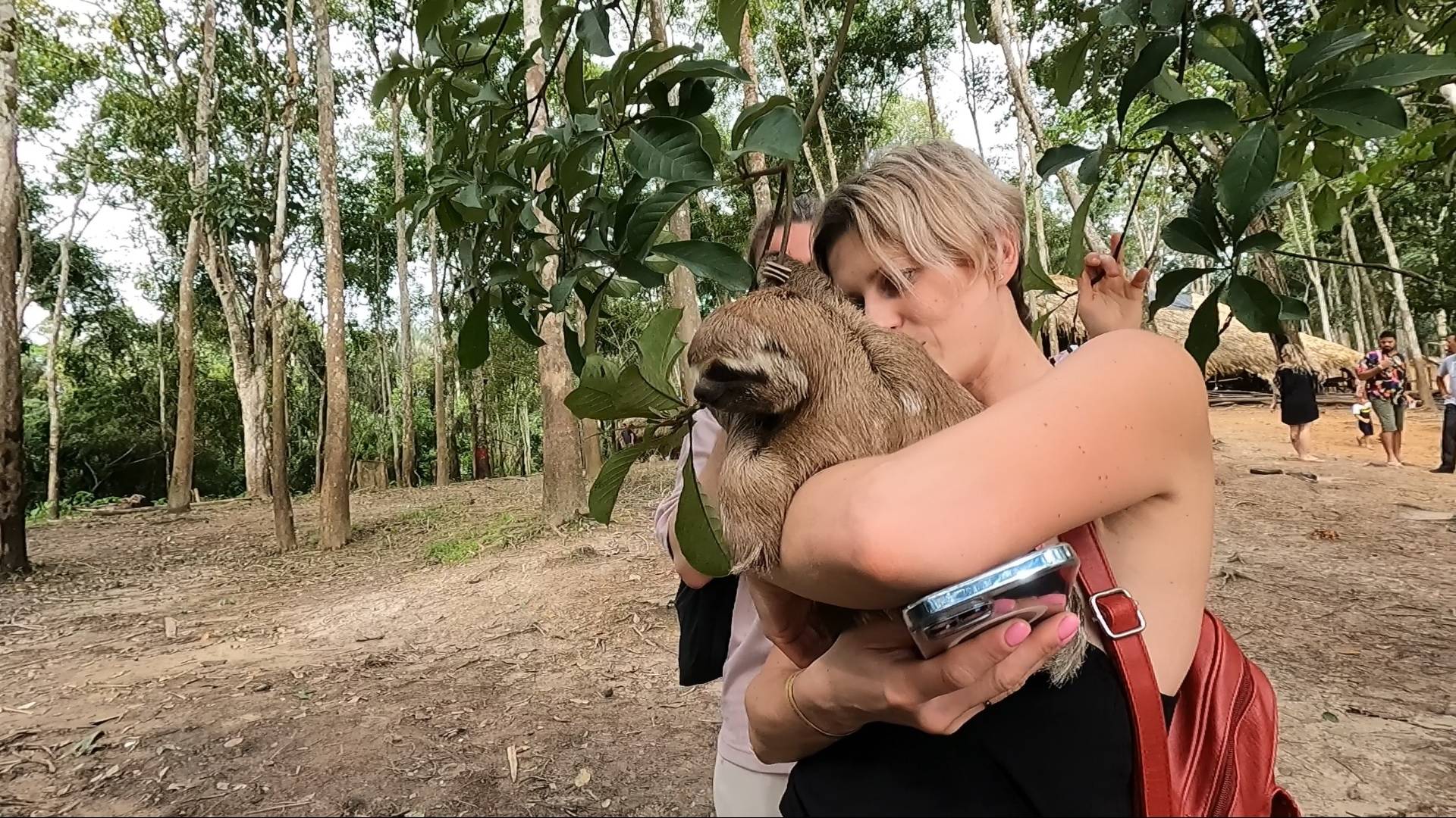 Ленивец - самое милое существо, которое я встречал