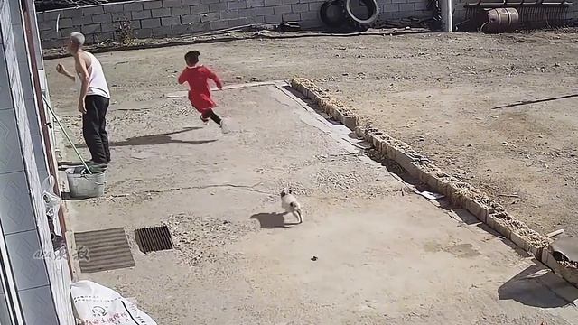 Китайский юмор № 11