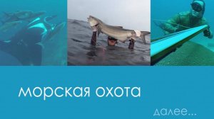 Подводная охота в Индонезии