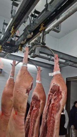 Синхронизатор в составе подвесного конвейера