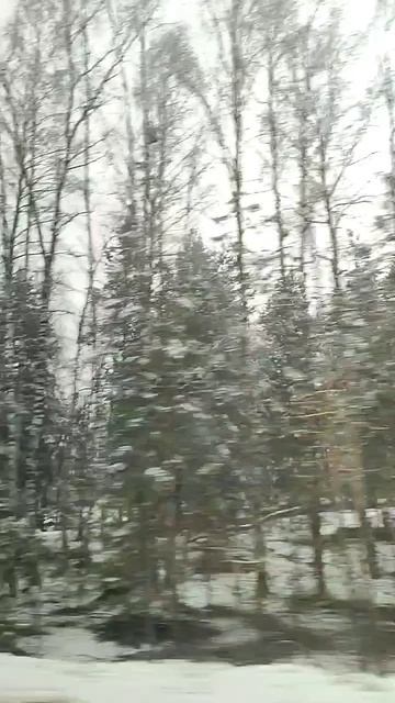 Дорога на Нижний Новгород