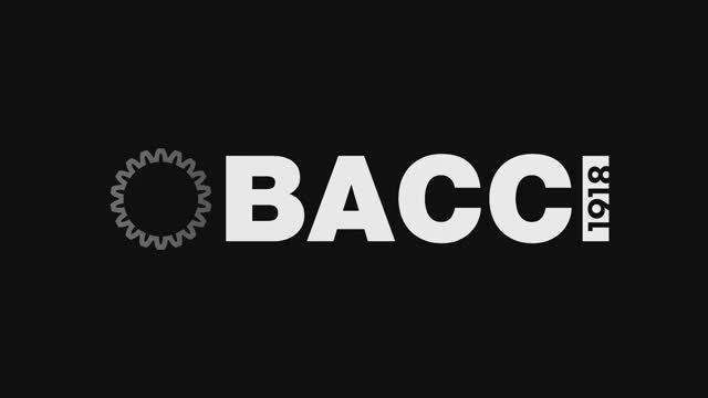 #BACCI T4MO CNC (станок для мебели)