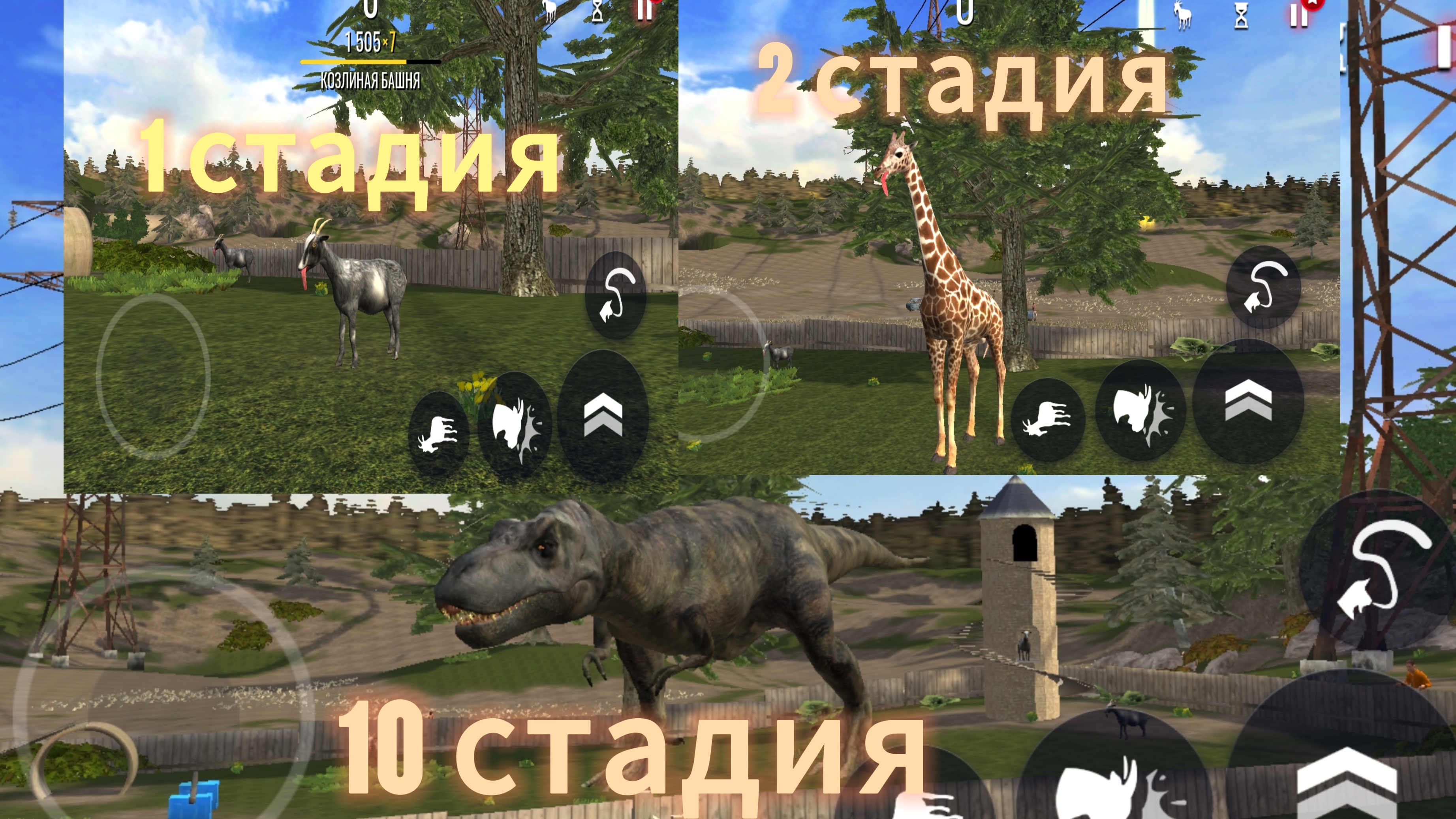 10 стадий животных🐐