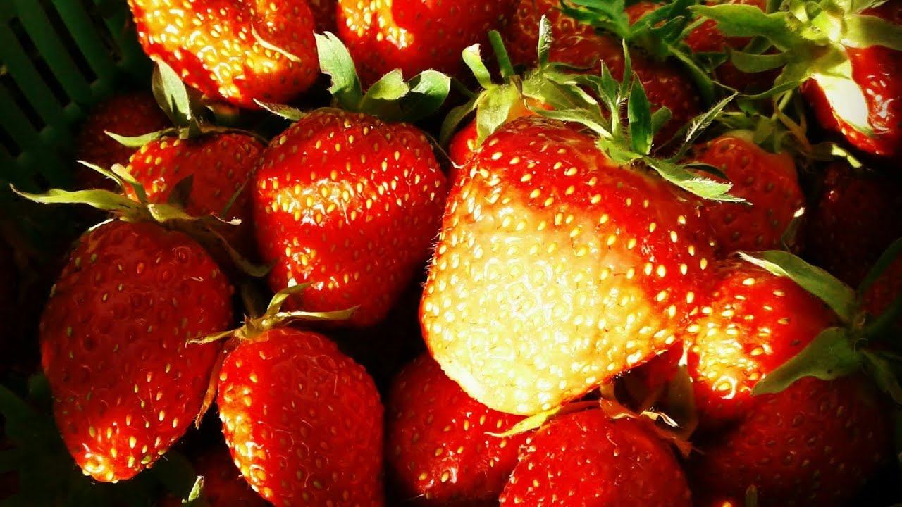 Заморозка клубники на зиму #рецепты #клубника #заморозка #recipe #strawberry #freezing_berries