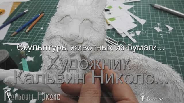 Скульптуры  из бумаги*  Художник Calvin Nicholls