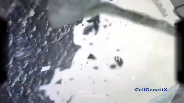 ТЕЛОМЕРЫ - ПРОДЛЕНИЕ ЖИЗНИ - АДЖЕНИС