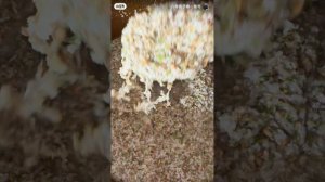 Camera_xhs_1744060243857.mp4