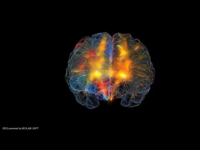 Визуализация коннектома