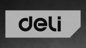 Отвертка аккумуляторная прецизионная + 25 бит "Home series Black" Deli DY-DP04-1B1