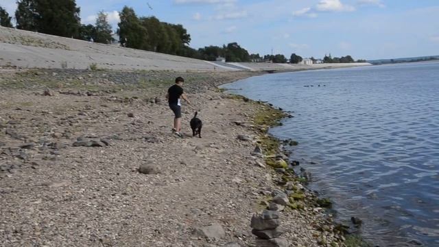 Путешествие с собакой  В Устюг. Гостиница, сколько место собаки стоит.(1ч.из 4)