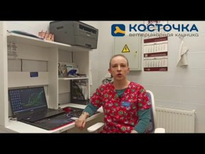 Смена корма