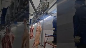 Участок перевески троллея на подвесном конвейере