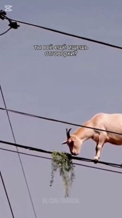 мотивационное