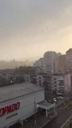 Вчера снег дошел и до нас)