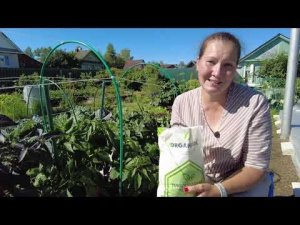 Обзор посадок юного огородника. ORGANICUM в гостях у "Садового Мира".