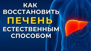 Вот как восстановить печень естественным способом