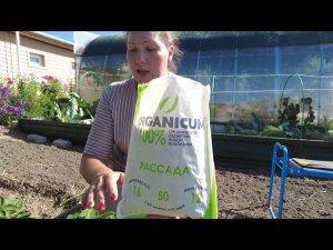 Что делать с клубникой после сбора урожая, чем подкормить. ORGANICUM в гостях у Садового Мира.