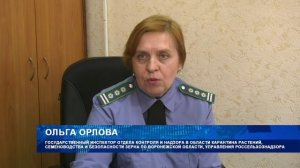 Основные нарушения при продаже семян Россельхознадзор выявляет на маркетплейсах