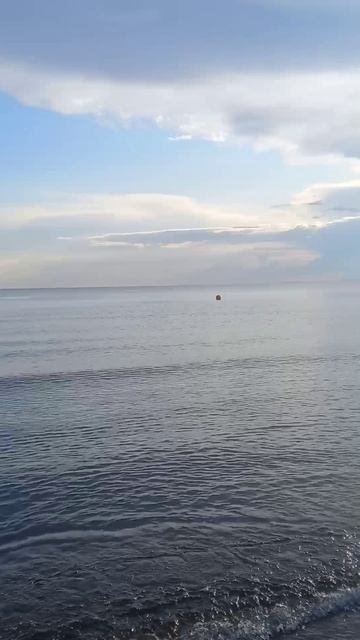 БАЛТИЙСКОЕ МОРЕ ,БЕРЕГ ,ЗАЛИВ 
[ 2023 , 25 июня ]