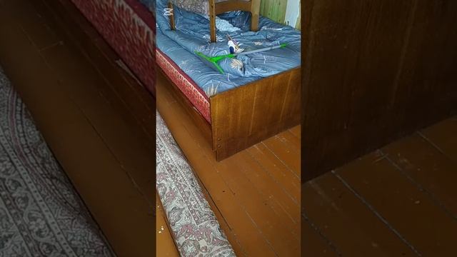 Жизнь в деревне