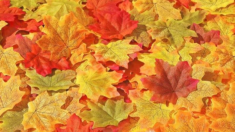 Да я любил.(слова и музыка Зеленин А.Б) шансон