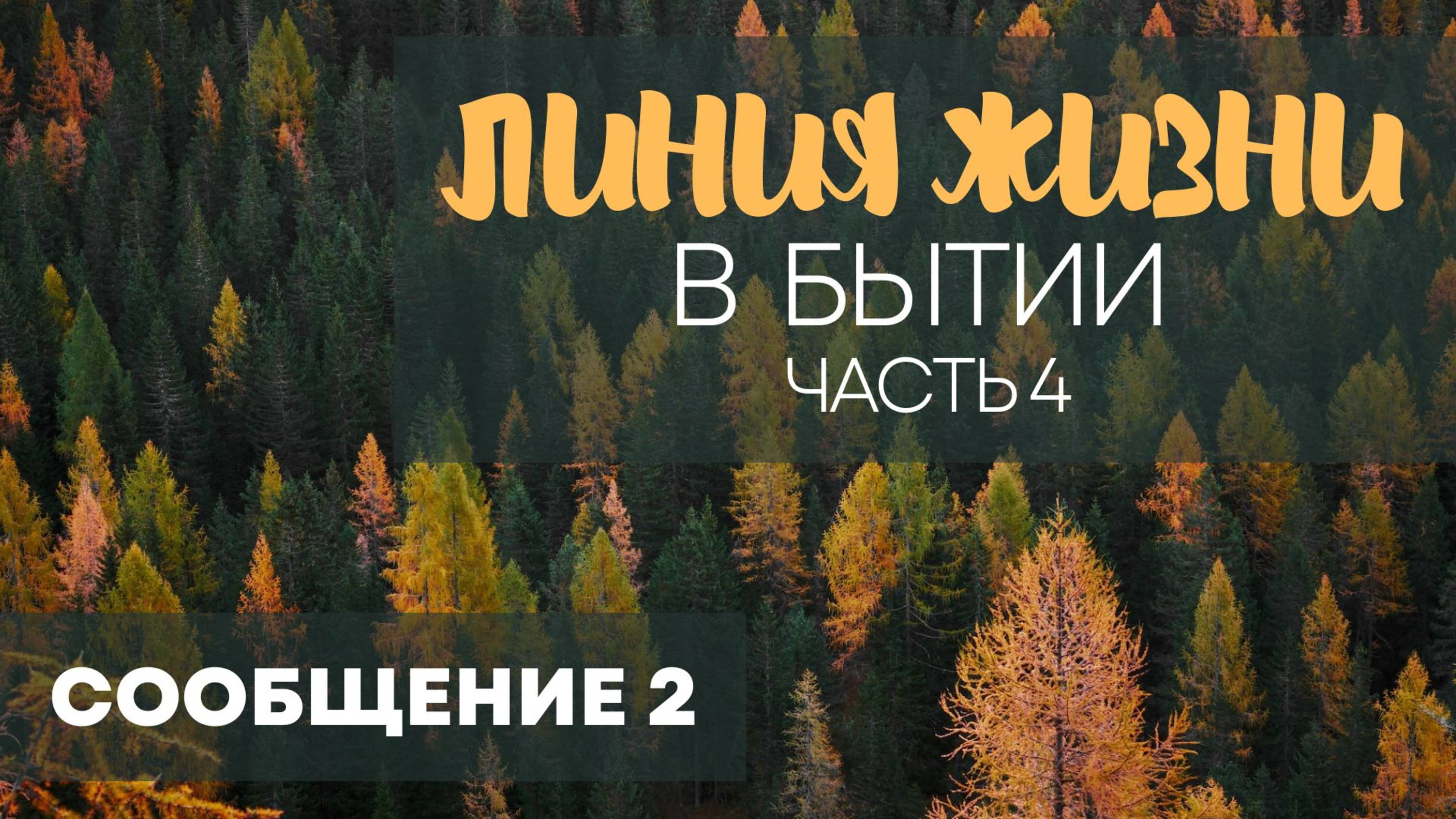 Сообщение 2 | Тюремное заключение Иосифа и его воцарение