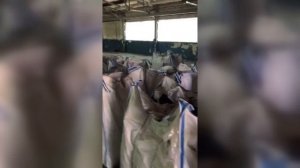 Древесный уголь в мешках