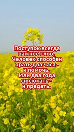 Человек способен орать два часа - и помочь. #short #цитаты #поступок #человек