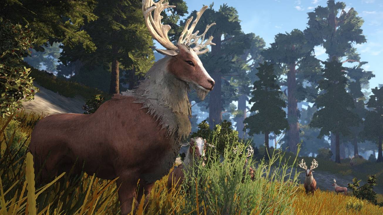 Закатный олень Black Desert online - редкое животное для охоты