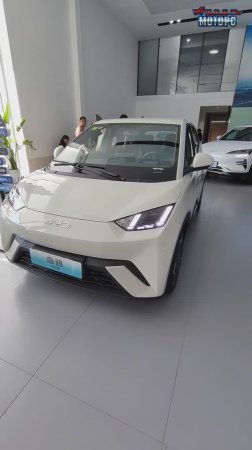 BYD Seagull EV - привезем из Китая