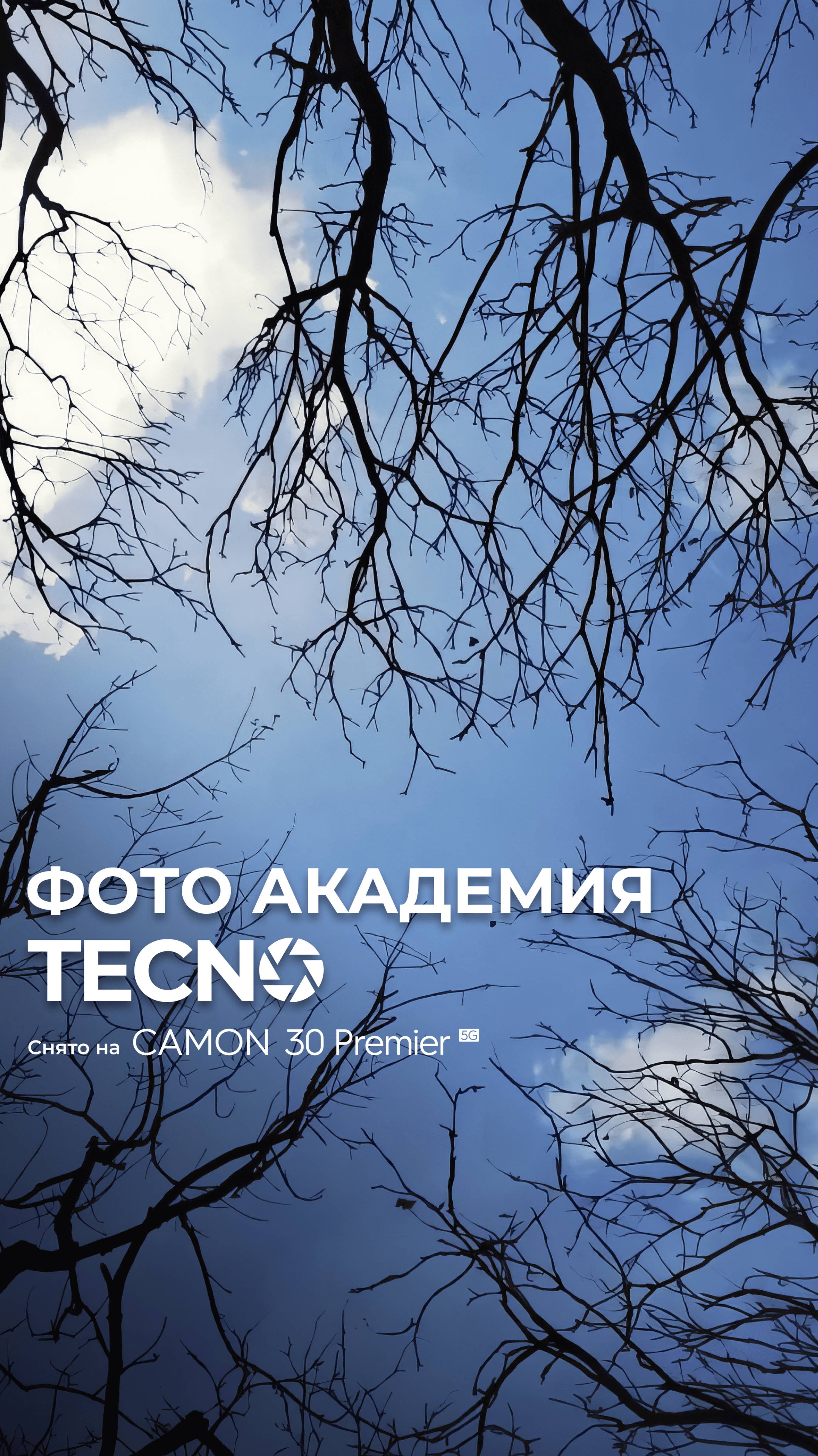 Идея для видео в зимнем лесу #TECNO #ФотоАкадемия
