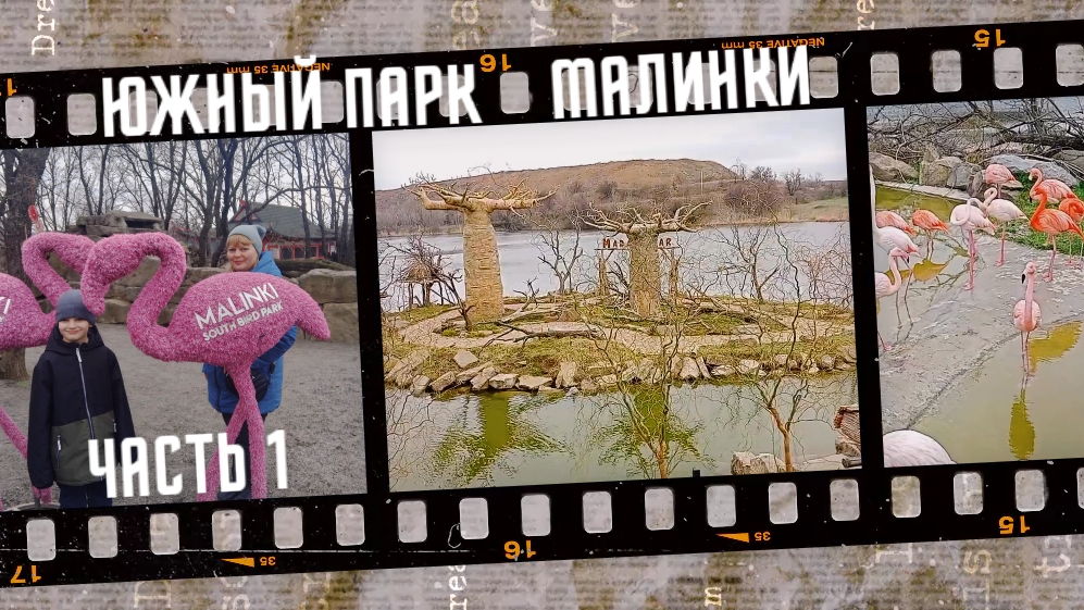 Южный парк птиц Малинки 2025, часть 1.
