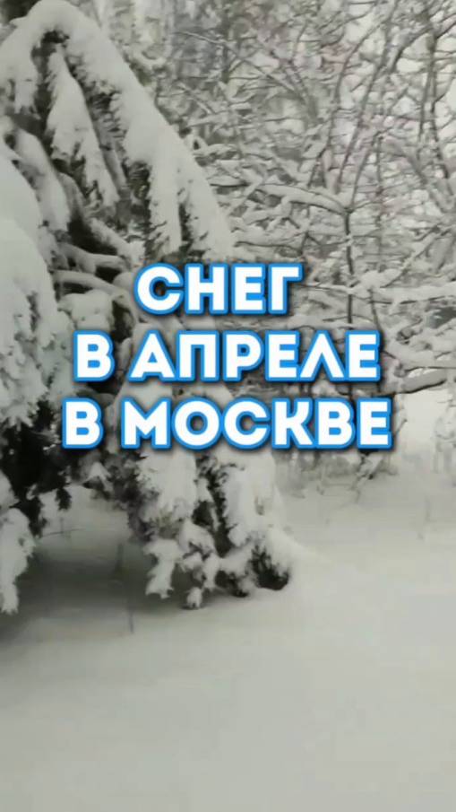 Снег в апреле в Москве!