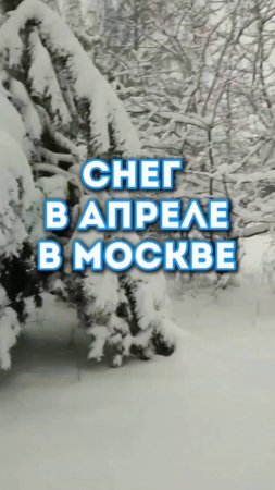 Снег в апреле в Москве!