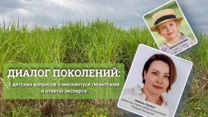 Диалог поколей: 5 детских вопросов о мискантусе гигантском и ответы эксперта