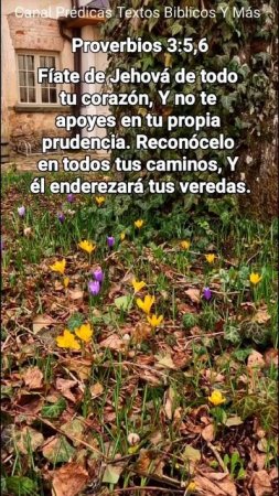 Proverbios 3:5,6 ❤️🔥 #biblia #proverbios #fe