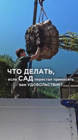Сад не приносит удовольствие?