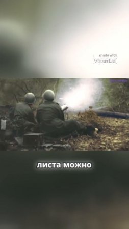 Факты о войне