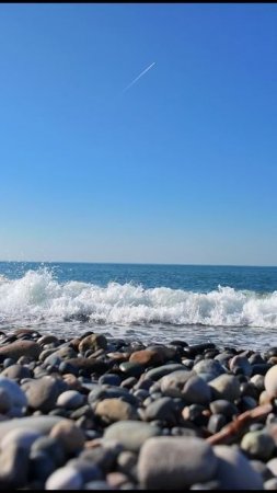 Батуми – город, в который хочется возвращаться! 🏝️🏙️