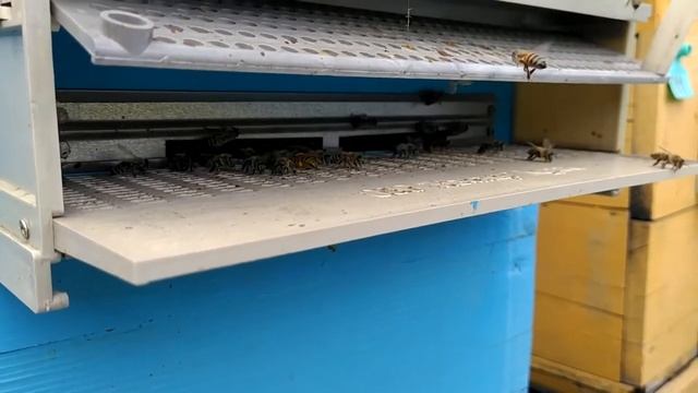 Пропускная способность верхнего летка