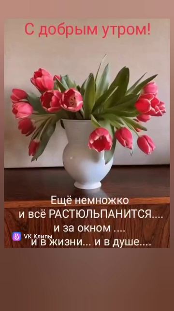 Ожившие Тюльпаны . Ждём весну.А пока уныло и пасмурно.