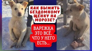 У этого ребёнка есть только варежка... Спасти или пройти?