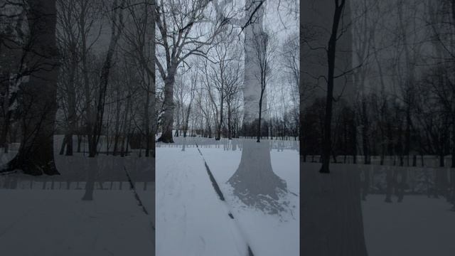 Юморной поход в Коломенское