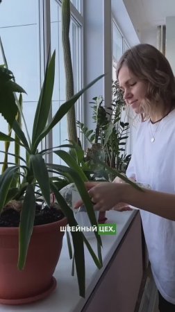 GreenBra - познакомимся поближе?)