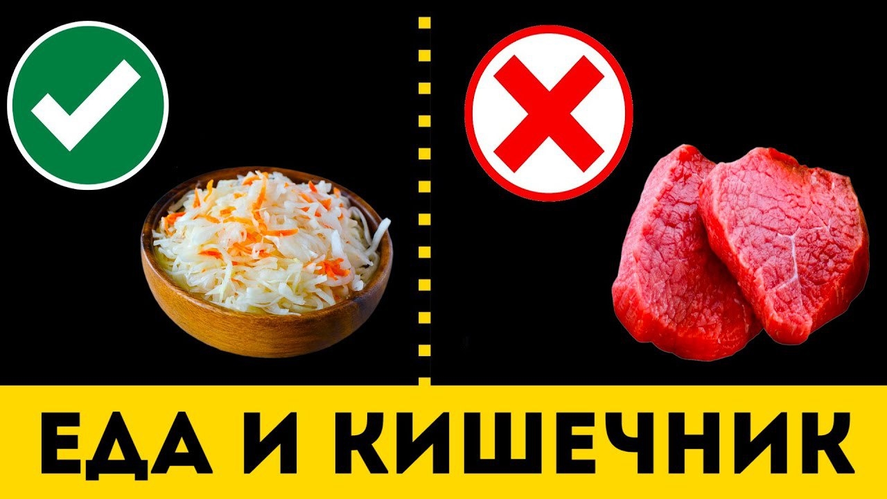 Кишечник: Самые Вредные и Полезные Продукты (Рейтинг)